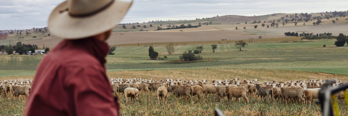 Farm Door Meals – Farm Door Riverina